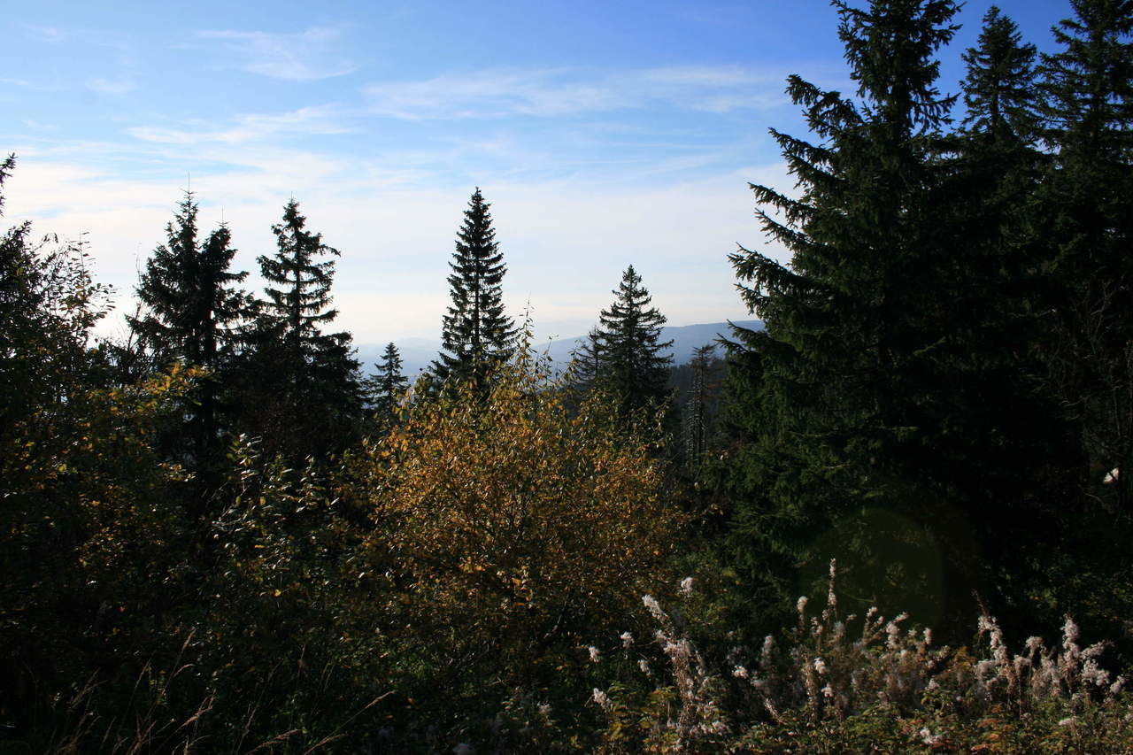 Sehenswertes Lohberg Ausflugsziele Bayerischer Wald Arberregion ...